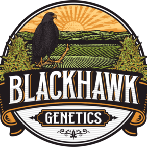 BLACKHAWK GENETICS – SLG