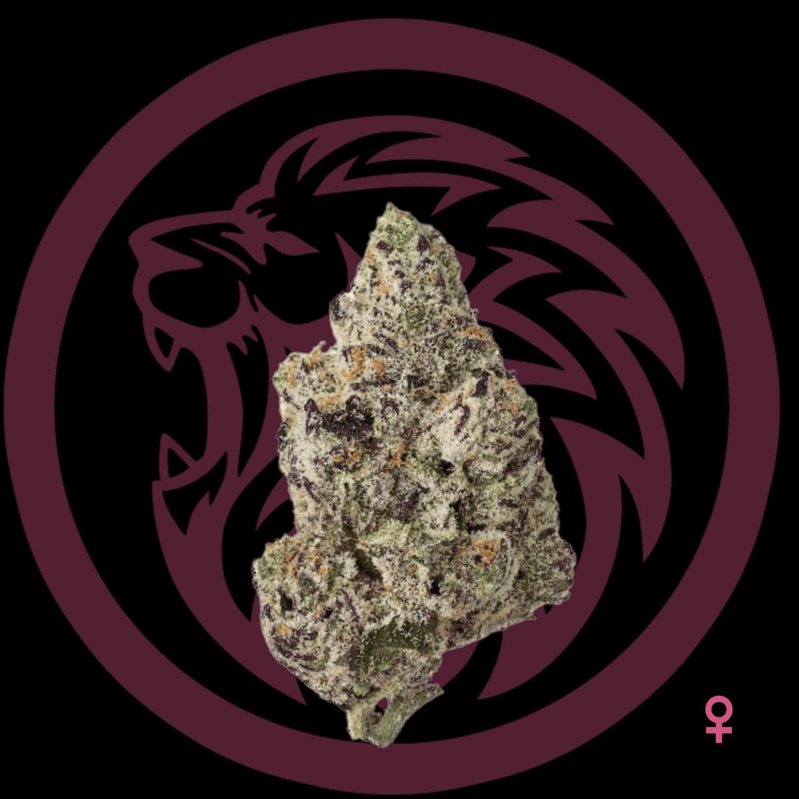 PINK CERTZ (FEM) – SLG