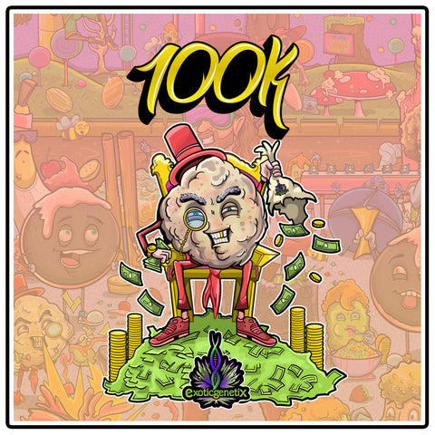 RED RUNTZ 🍒RELOADED🍓 2022 Box