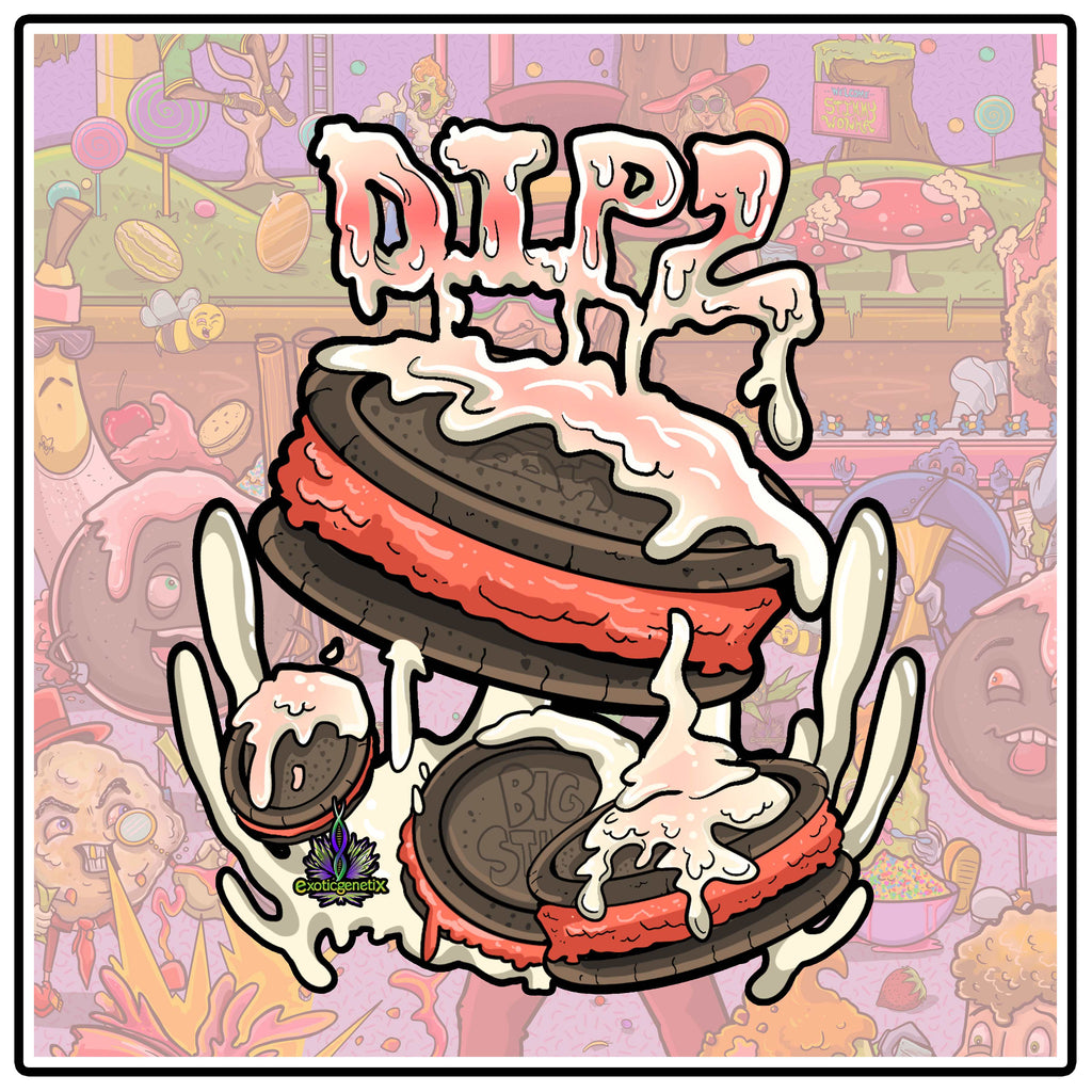 RED RUNTZ 🍒RELOADED🍓 2022 Box