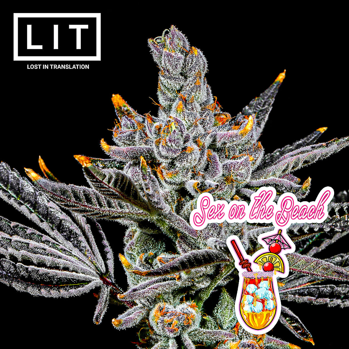 Sex On The Beach Lemon Cherry Gelato X Zoap Fems Slg